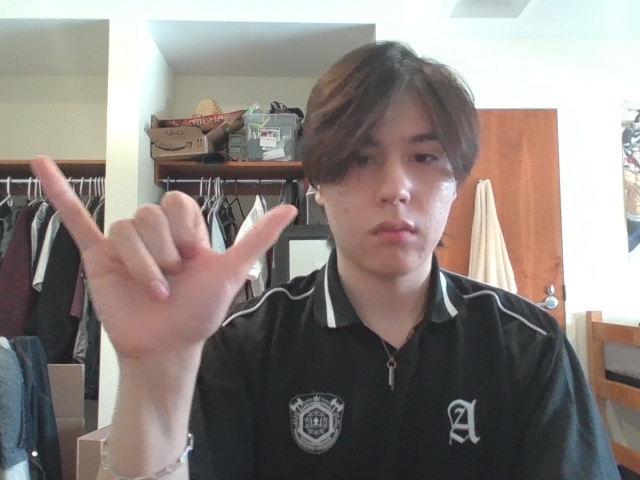 asl-self Classification Dataset by Kaito