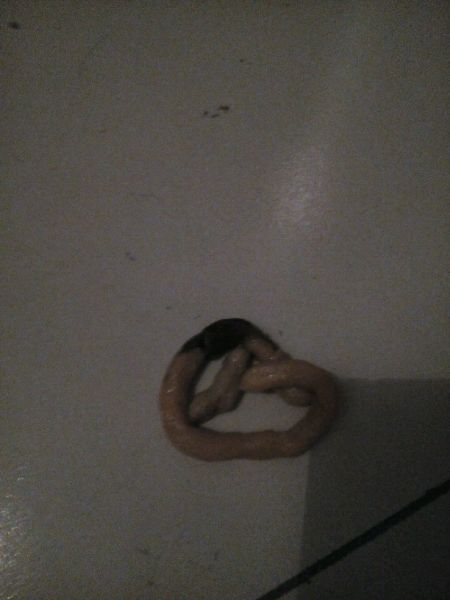 softpoop Semantic Segmentation Dataset by new-workspace-j42am