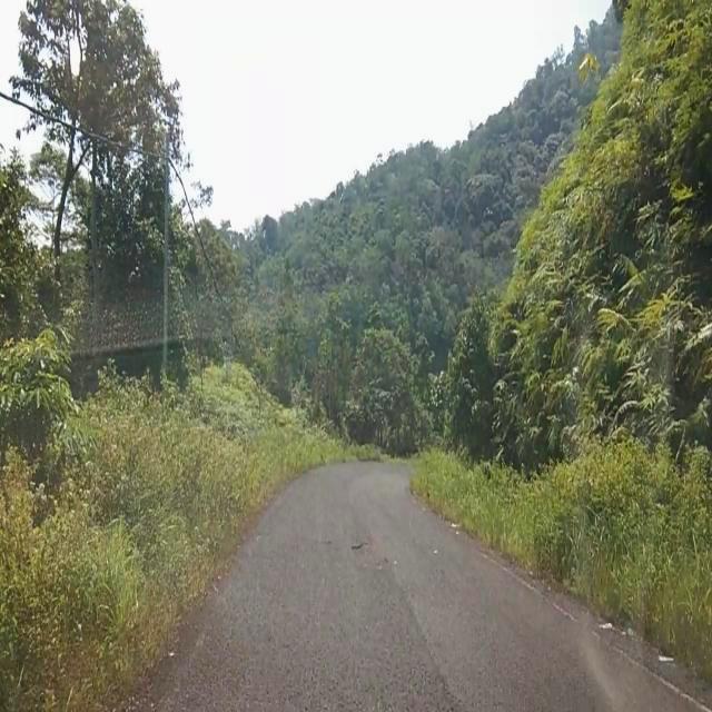 finalproject-rdd Object Detection Dataset and Pre-Trained Model by rddfinalproject