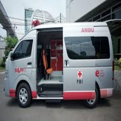 Ambulance Dataset Object Detection Dataset by Hritik