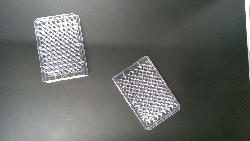 aModelToRemember Instance Segmentation Dataset by Joshua Dang