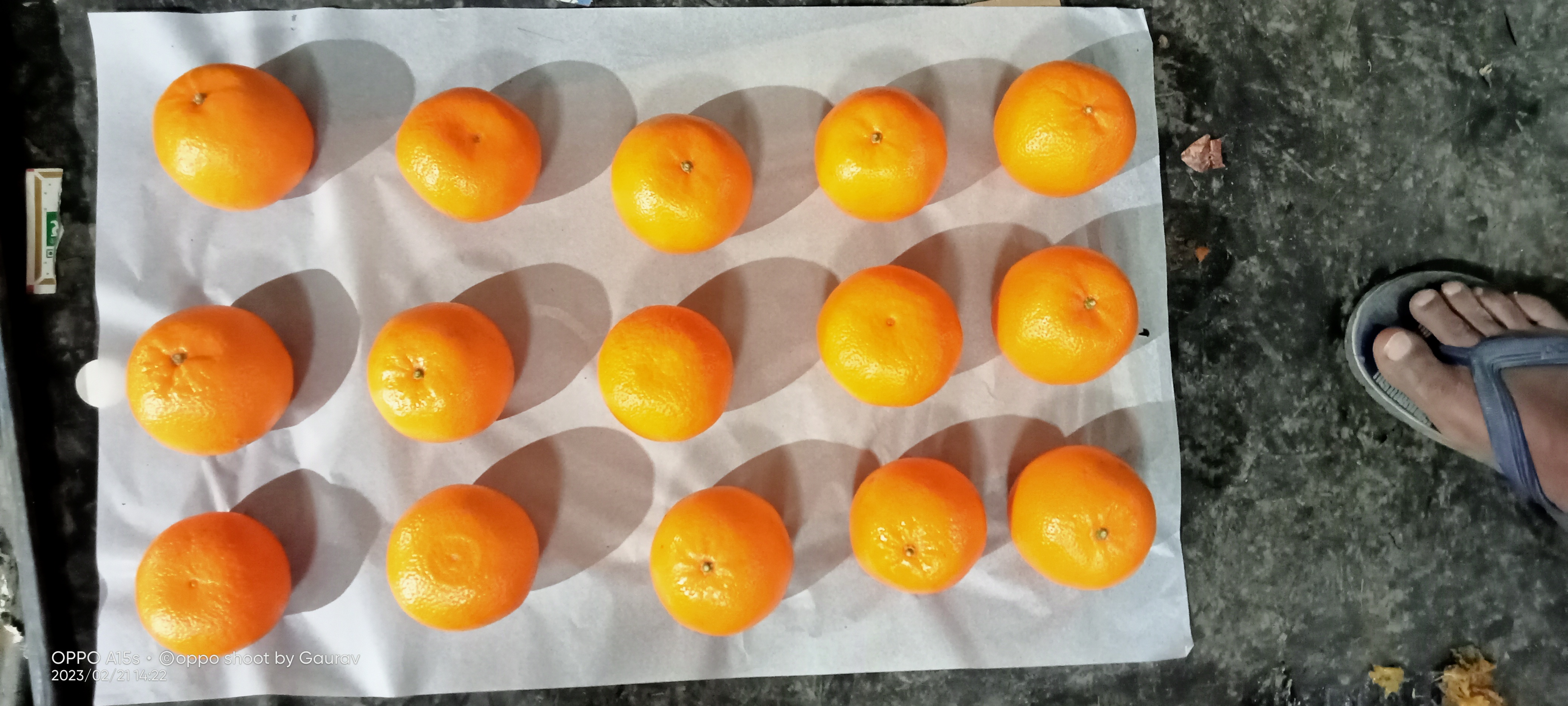 naranja_demo Object Detection Dataset and Pre-Trained Model by Fer