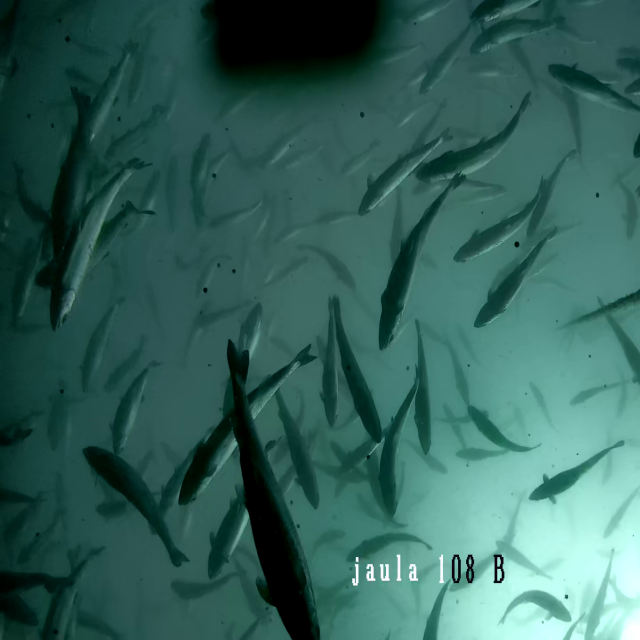 detección de pellets Instance Segmentation Dataset and Pre-Trained ...