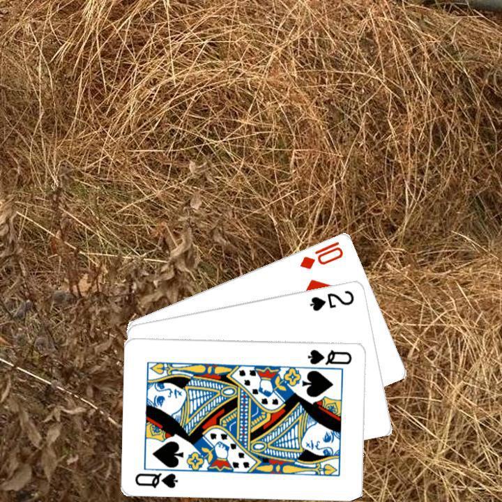 Playing Card Recognition - Roboflow Universe