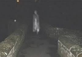 project1 Object Detection Dataset by ptech