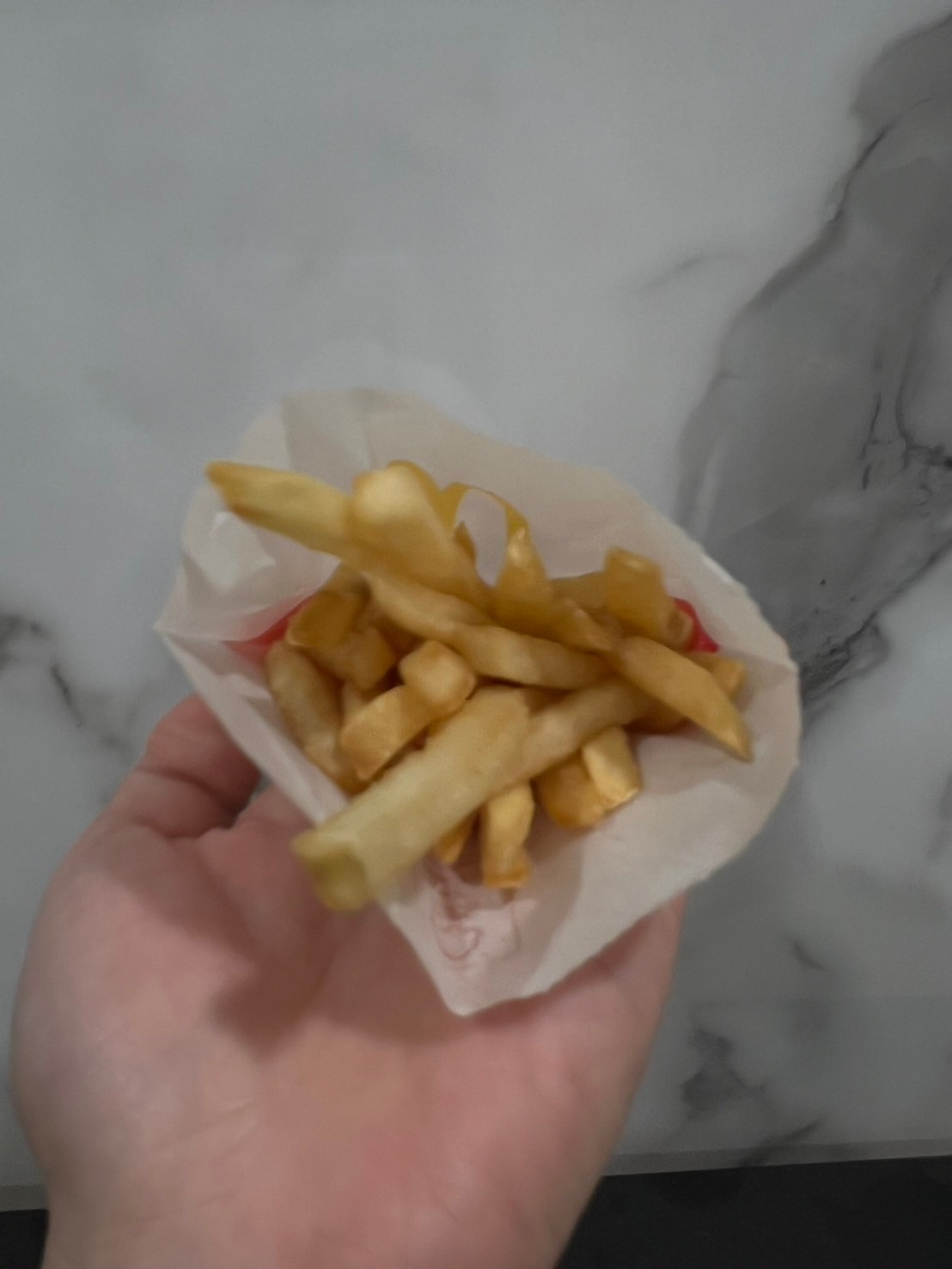 Fast food Object Detection Dataset by NTSUU