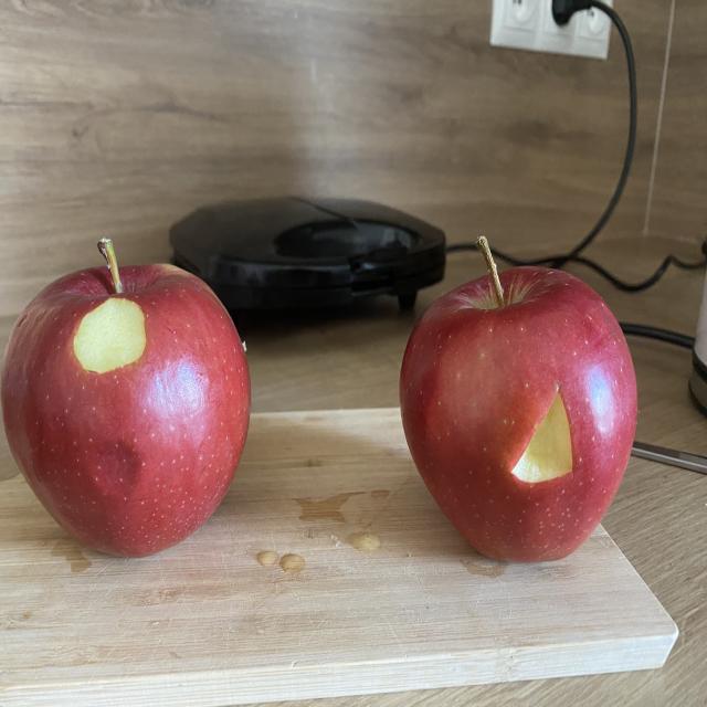 apple_defect Instance Segmentation Dataset by student