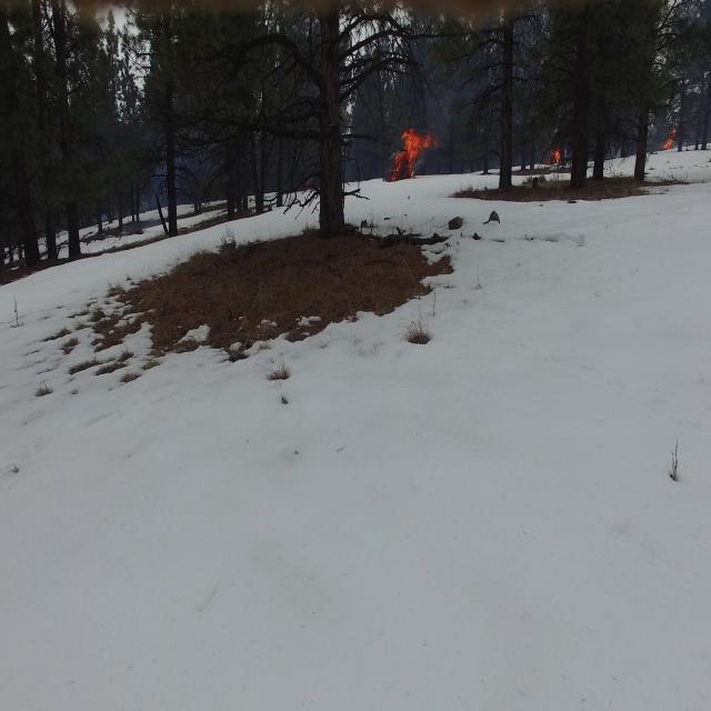 fire Semantic Segmentation Dataset by fire