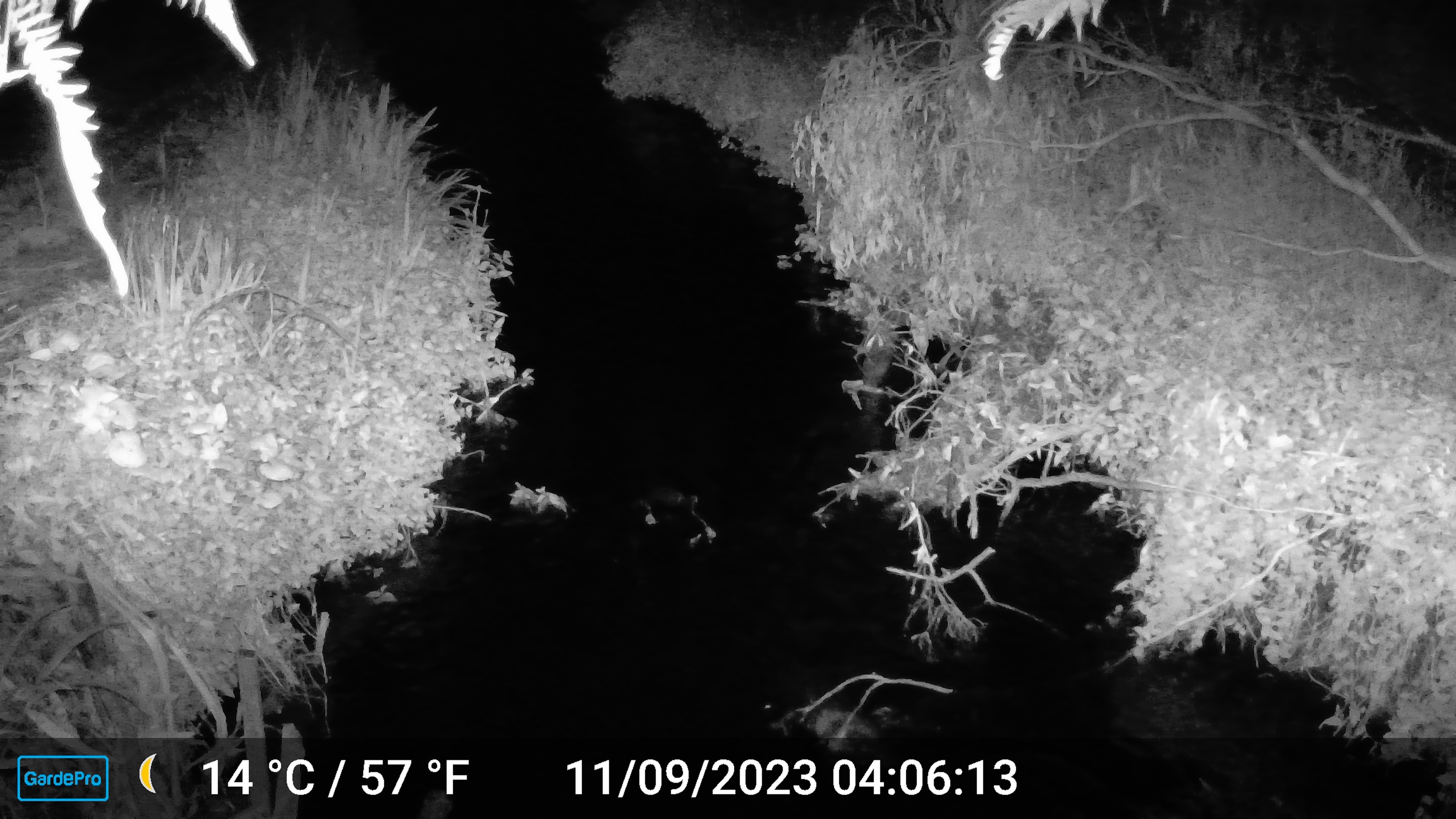 convert to yolo (convert-to-yolo-lamww) - Roboflow Universe