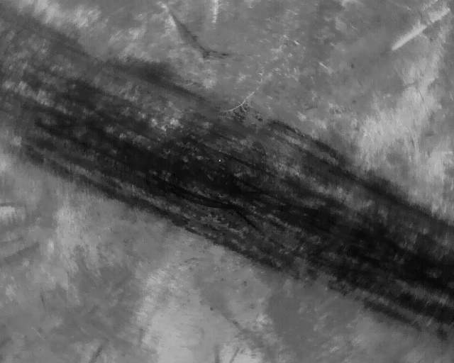 quail-example Object Detection Model by Quail example