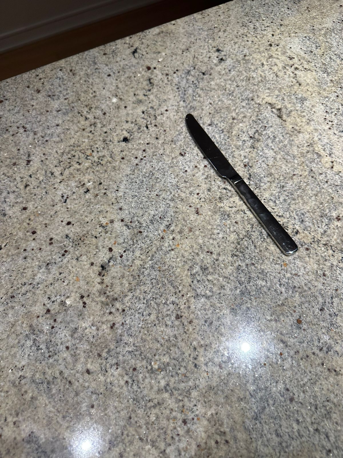 Cutlery Activity Object Detection Model By Project 1