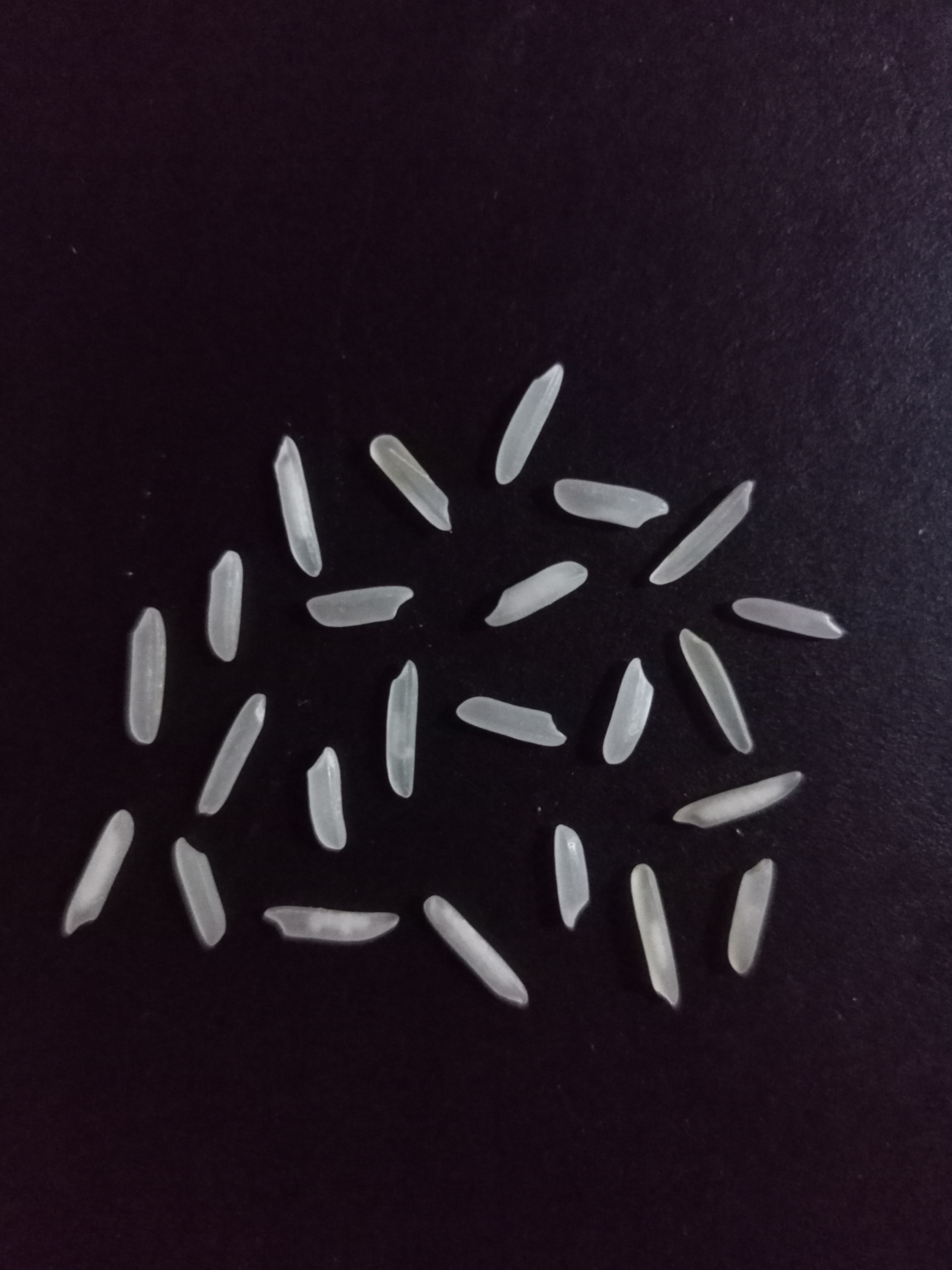 Rice Variety Classification Object Detection Dataset and Pre-Trained Model by Final Year Design ...