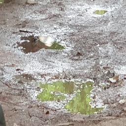 off_track_on_track_puddles Object Detection Dataset and Pre-Trained Model by Puddles V1