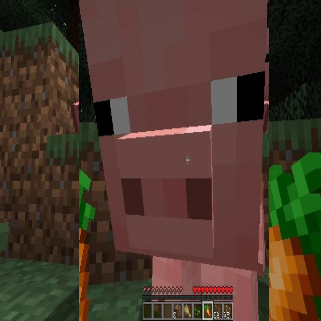 Minecraft (minecraft-48xlt) - Roboflow Universe