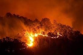 FIRE_DETECT Instance Segmentation Dataset by Tanvi Pharade