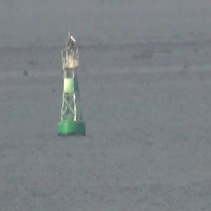 Buoy Object Detection Dataset by Buoy