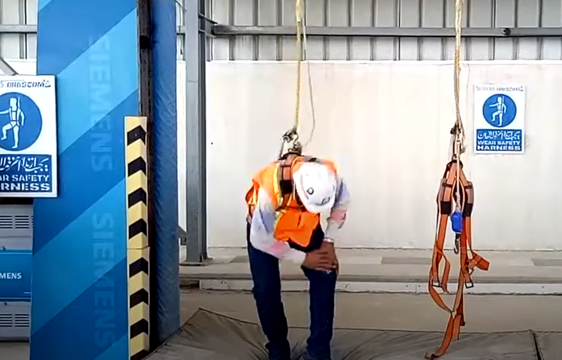 harness_vest Object Detection Dataset by ysugimoto