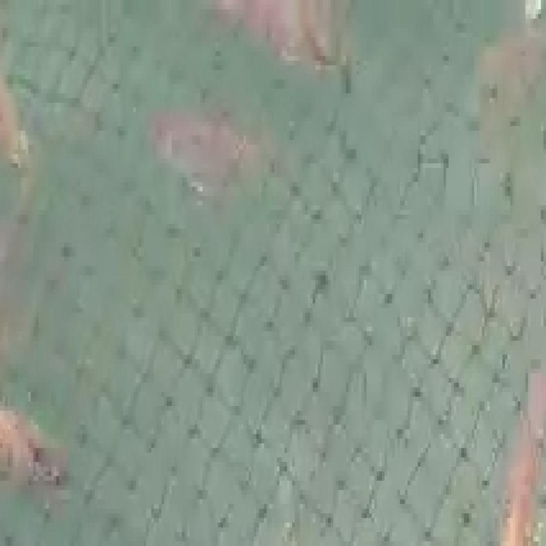 Top-Down-Fish Object Detection Dataset and Pre-Trained Model by FishCounter