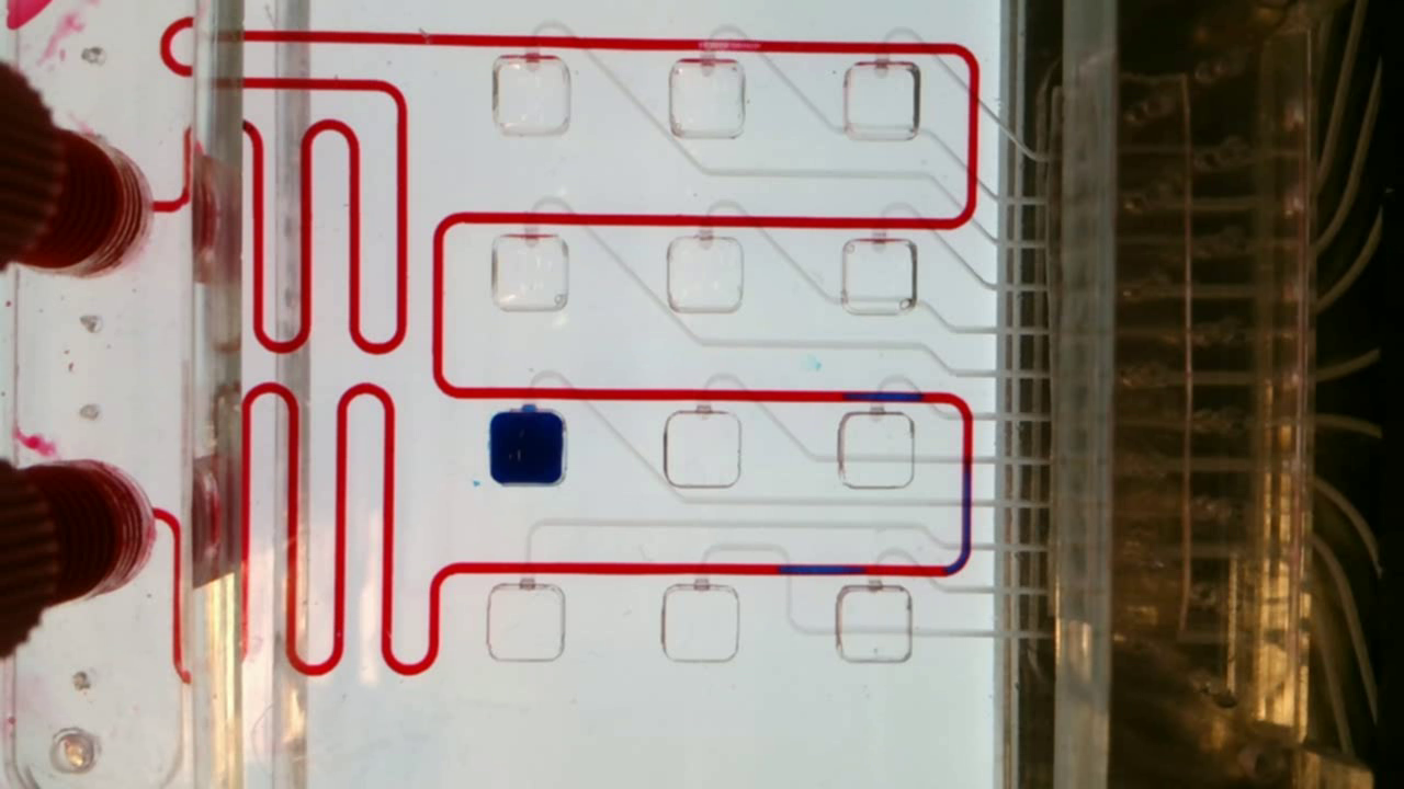 Droplet detection Object Detection Model by Dropshop