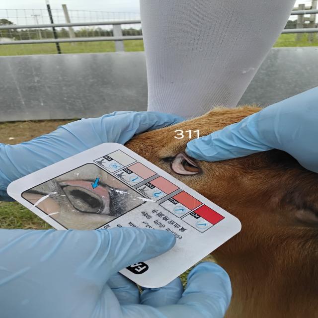 validation new trial Instance Segmentation Dataset by Ecoli