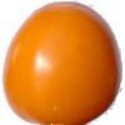 delicious tomato Classification Model by lee