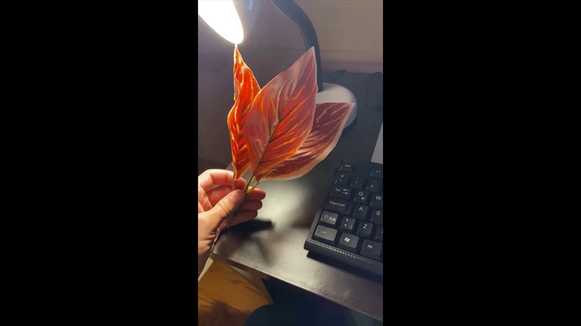 Bitki Object Detection Dataset By Home