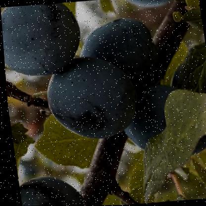 Plums Dataset Object Detection Dataset by Smart Harvesting System