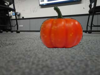 pumpkin Object Detection Dataset by potato