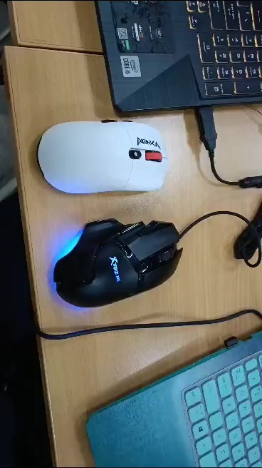 mouse Object Detection Dataset by delusi