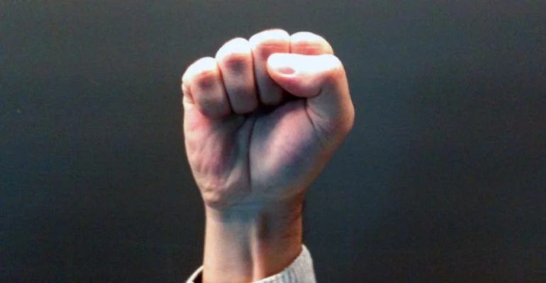 hand detection Object Detection Dataset by Dell Lead