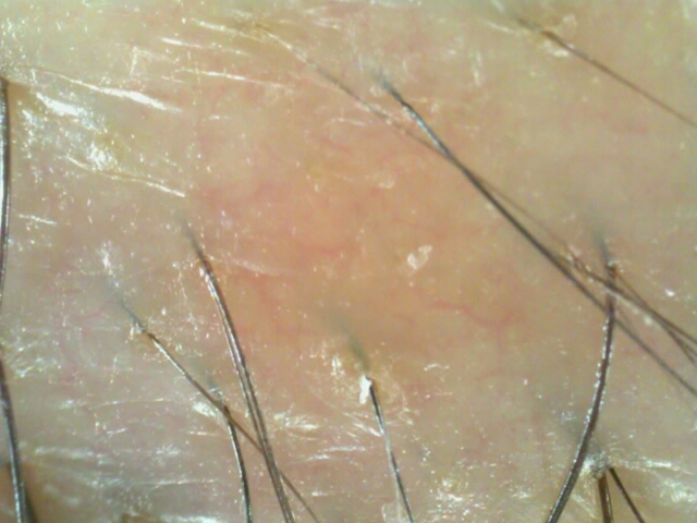 3 Object Detection Dataset And Pre Trained Model By Ewha Womans University