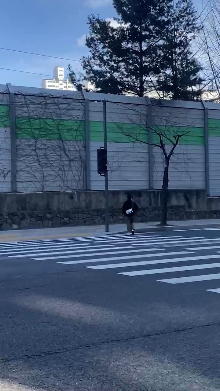Crosswalkandpedestrian Light Object Detection Dataset And Pre Trained