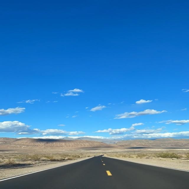 final1 Instance Segmentation Dataset by jk