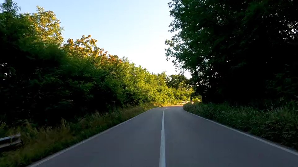 t1 Instance Segmentation Dataset by jk