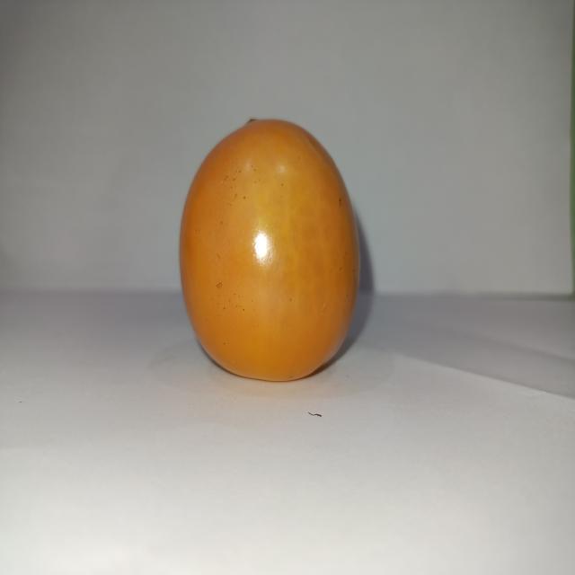 Tomato Detection Object Detection Dataset And Pre Trained Model By