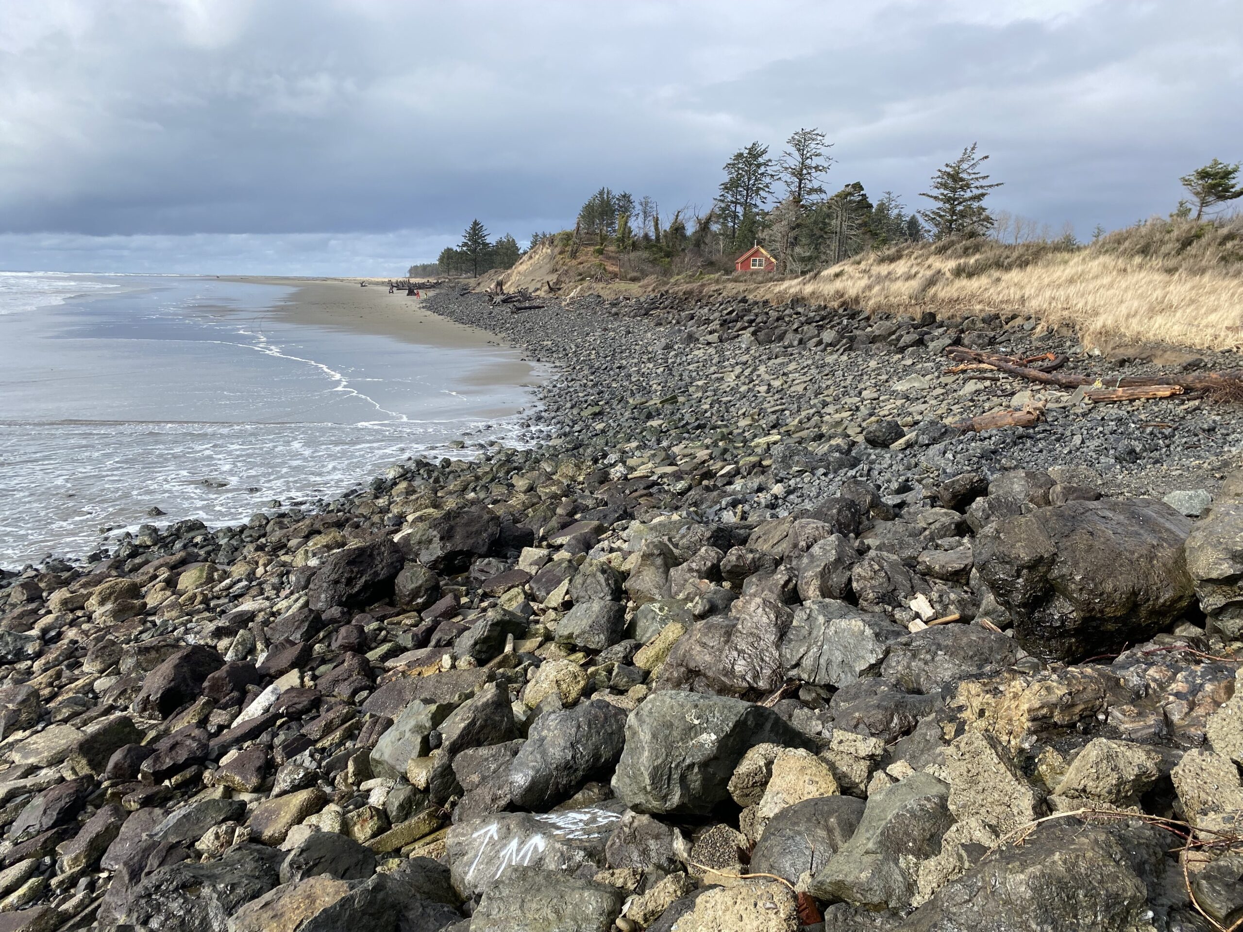 APL Instance Segmentation Dataset by APL