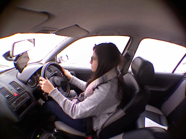 Safe Driving Object Detection Dataset By Deloitte