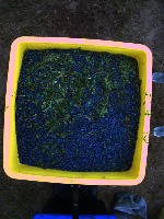 instance bin segmentation - Roboflow Universe