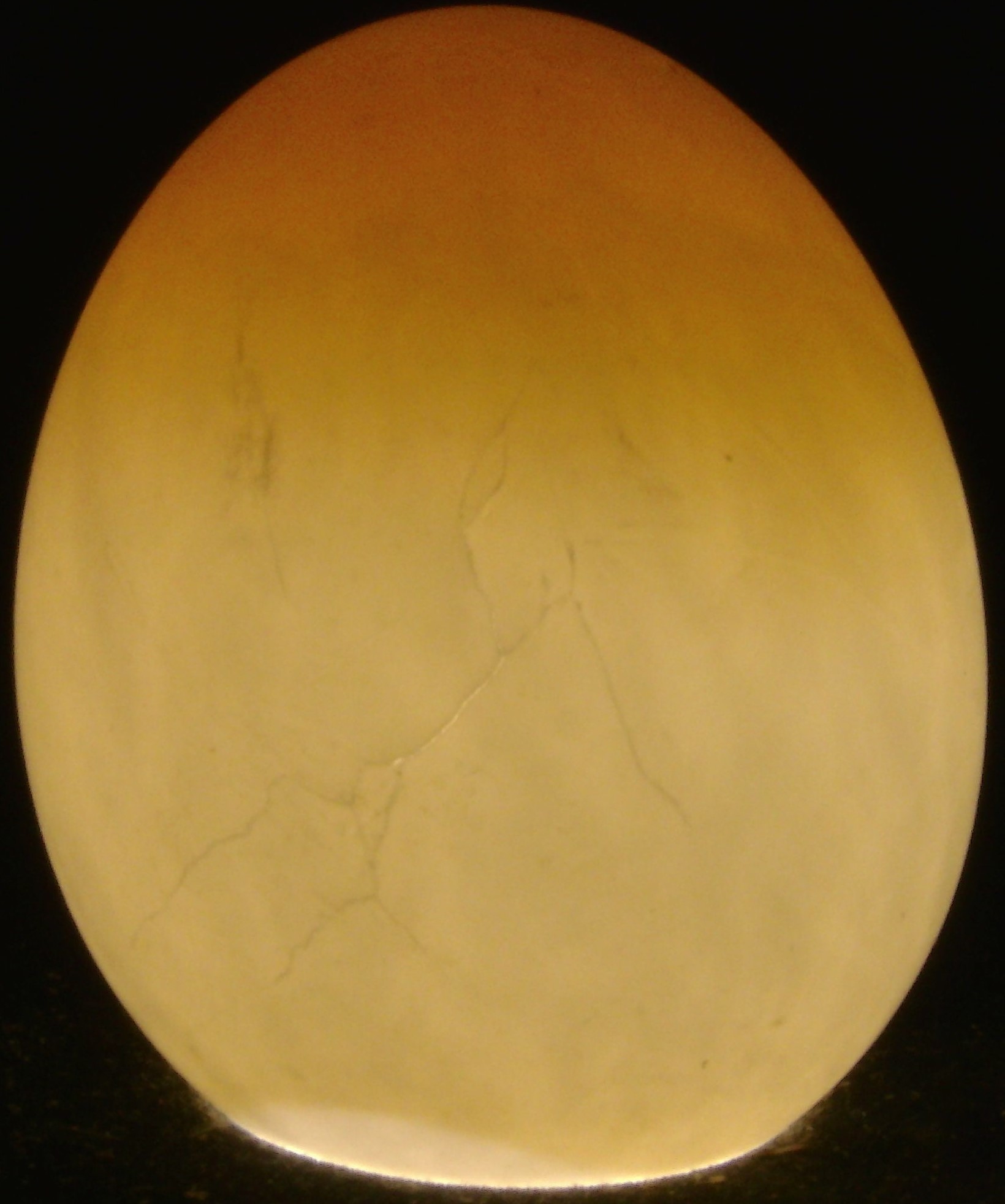 NEWESTTT-RAW-IMAGE Object Detection Dataset by THESIS