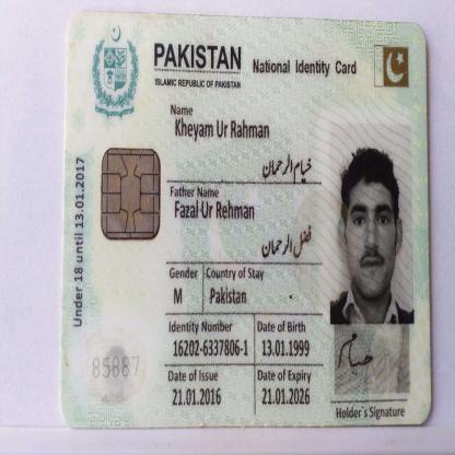 Wasila - Roboflow Universe