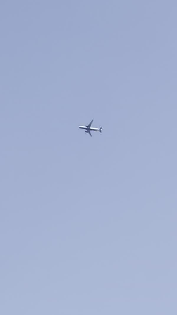 Drawing Bounding Box Object Detection Model By My Workspace