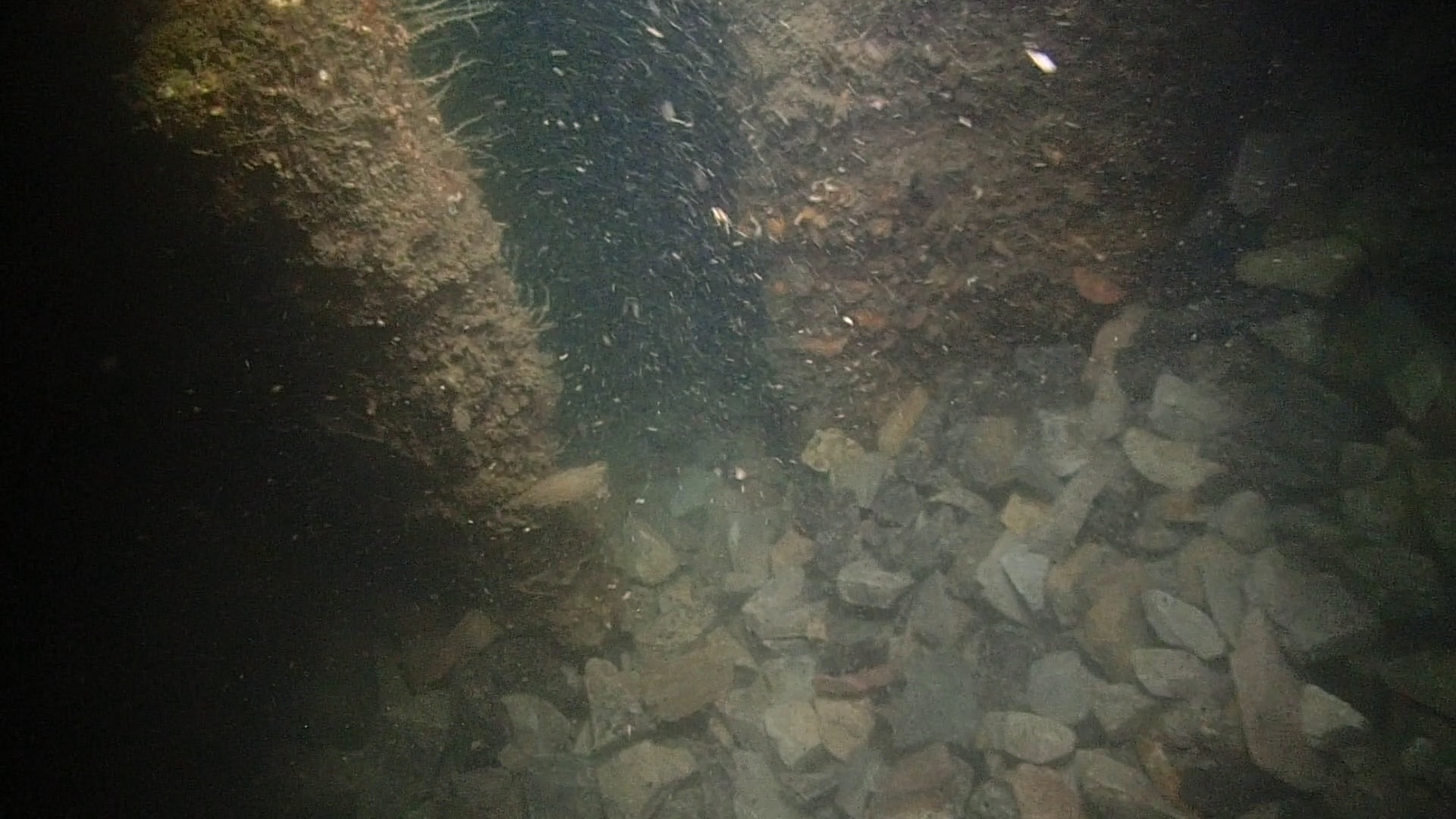 Prototype_v3 Object Detection Dataset by 2222222