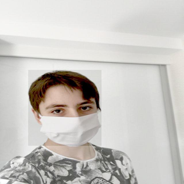 BI - 41.1 Savelev N (1000) Object Detection Model by Nik Sav