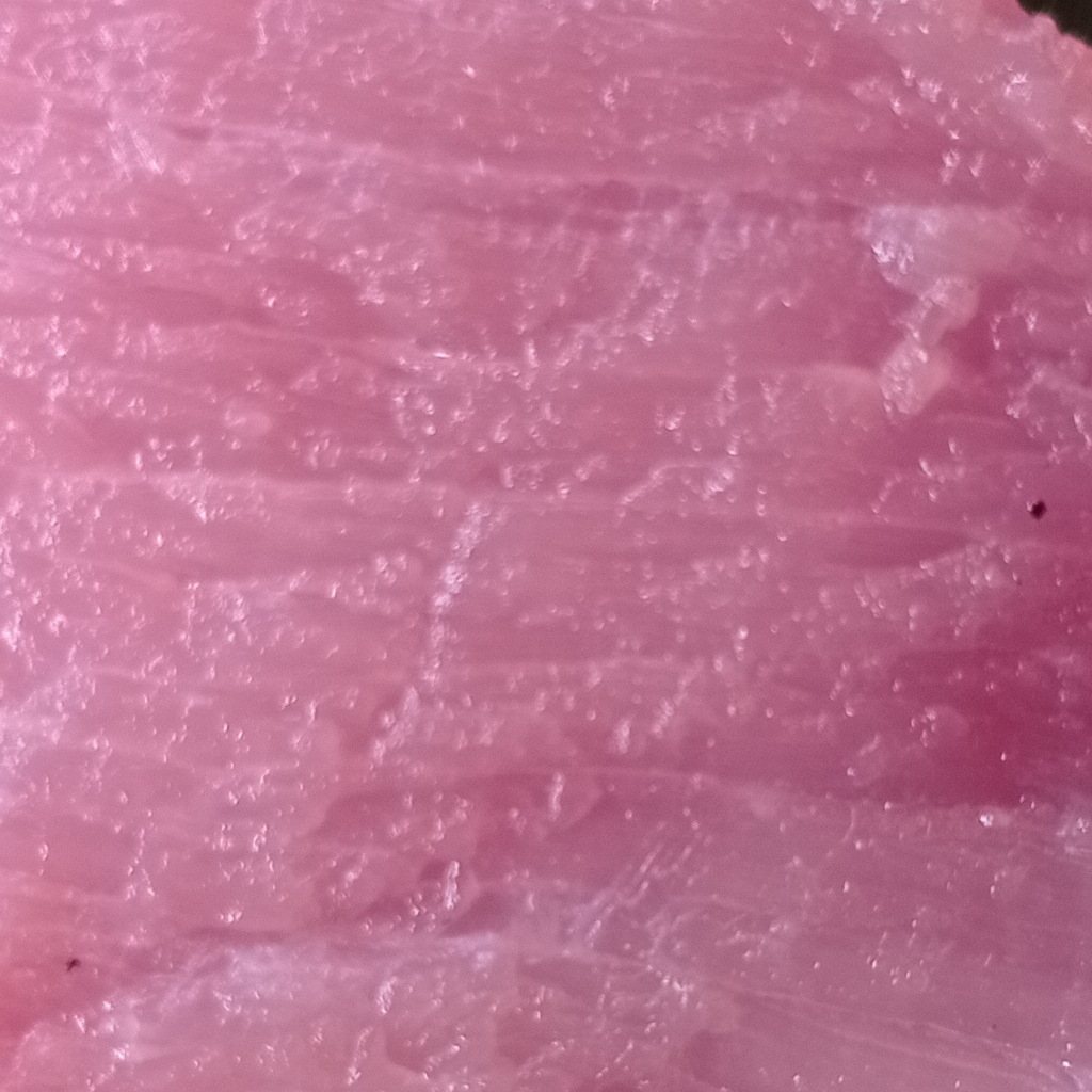 KLASIFIKASI DAGING BABI DAN DAGING SAPI Object Detection Model by SKRIPSI