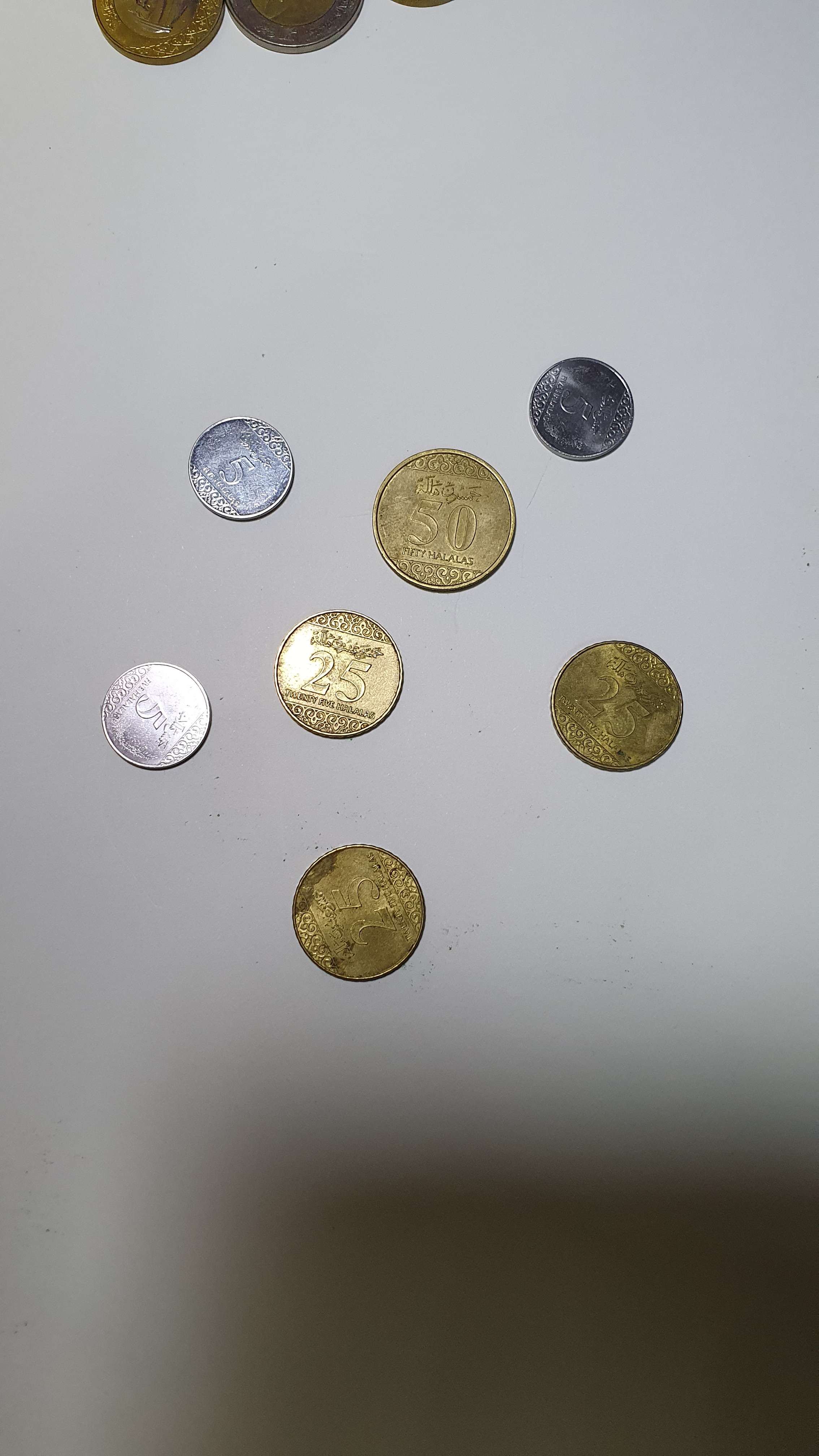 How to Use the sar-coins Object Detection API