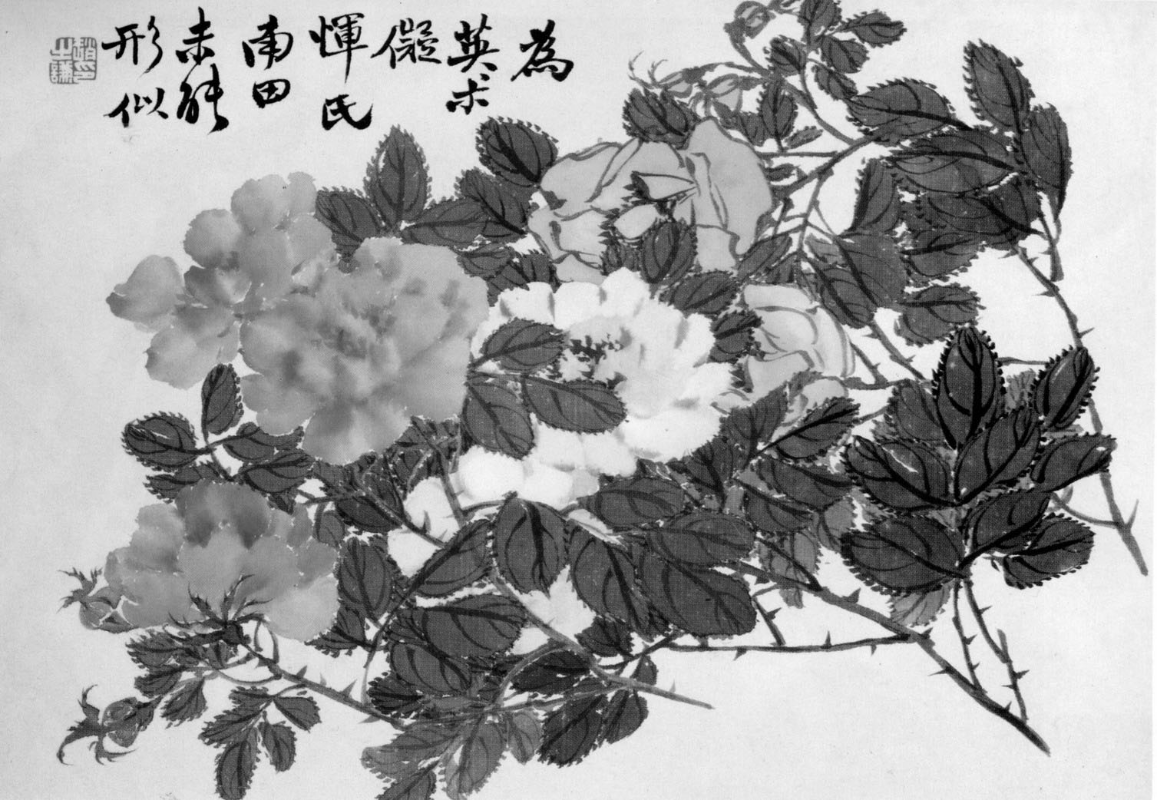 hnyc Instance Segmentation Dataset by yolo