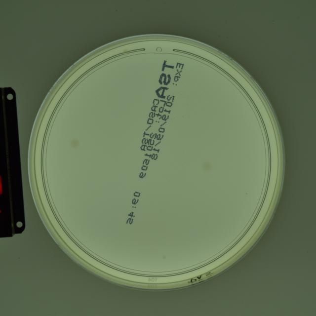 Fase Object Detection Dataset And Pre Trained Model By Unitec