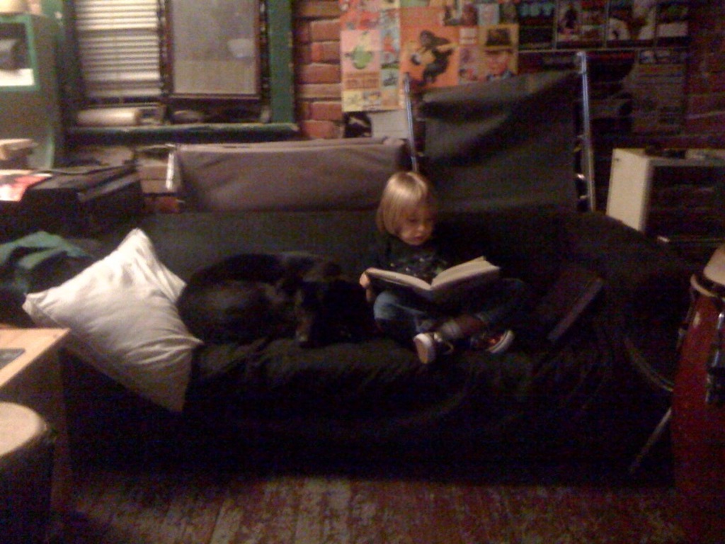 merge project Object Detection Dataset by householdappliances