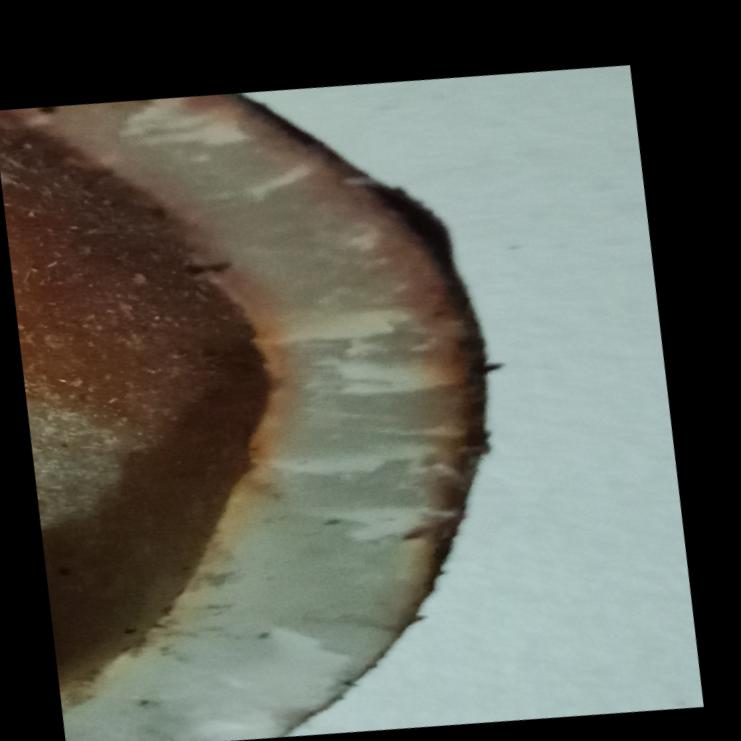 Copra Project Object Detection Model V1 2025 08 08 4 39pm By Agriculture And Plant Disease