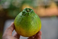 Deep Learning (deep-learning-ucwht) - Roboflow Universe